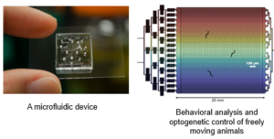 Microfluidics for the Life Sciences – Lµ Fluidics Group